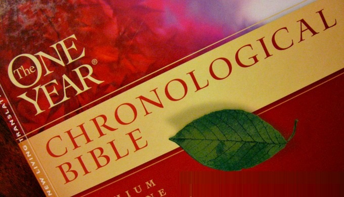 The Bible – Year in Review