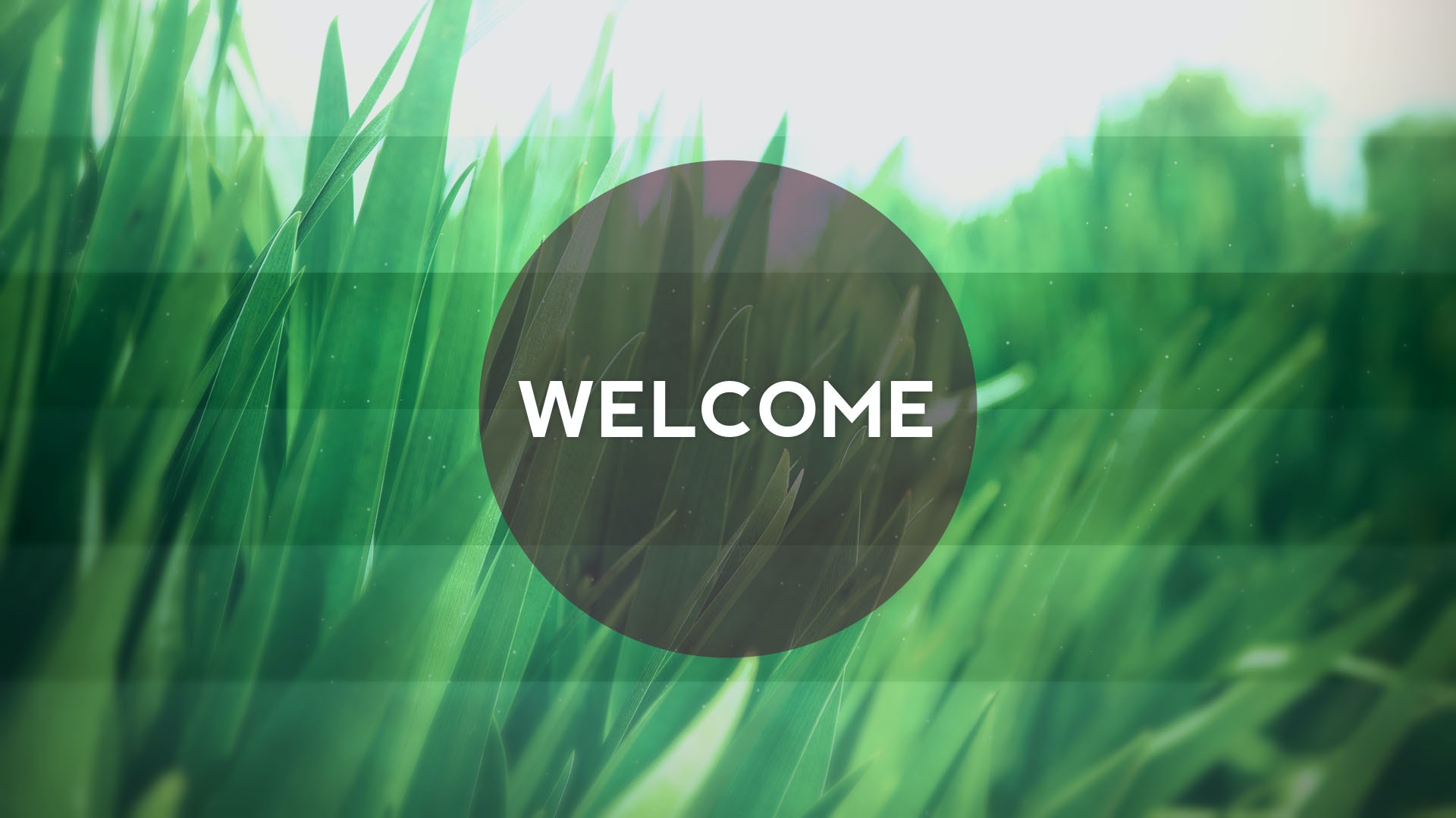 Fresh Summer Welcome – 16×9